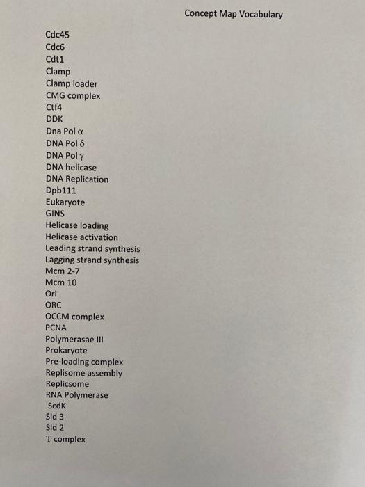 Solved Concept Map Vocabulary Cdc45 Cdc6 Cdt1 Clamp Clamp | Chegg.com