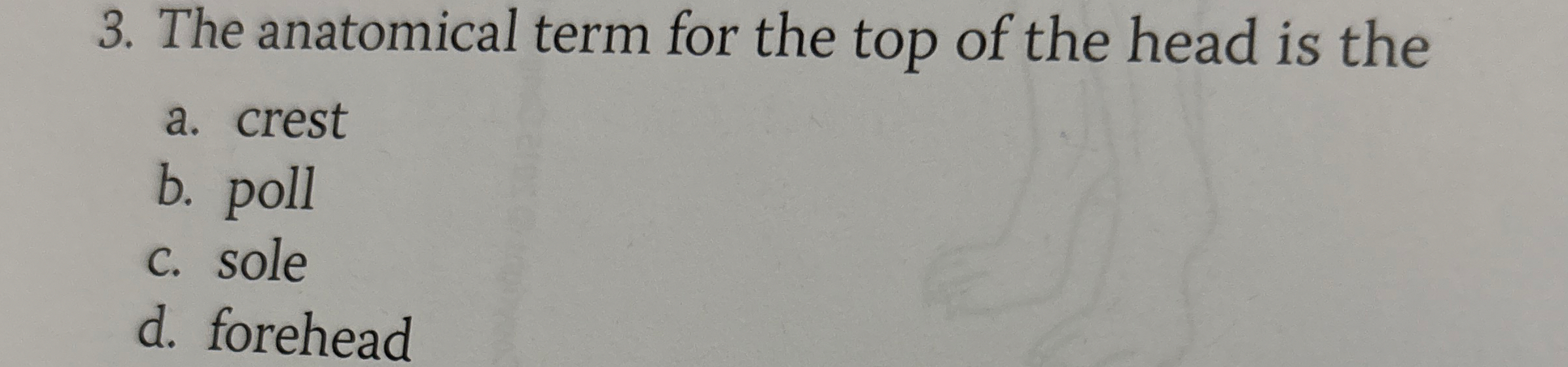 Solved The anatomical term for the top of the head is thea. | Chegg.com