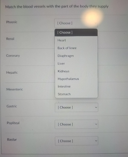 Solved Match the blood vessels with the part of the body | Chegg.com