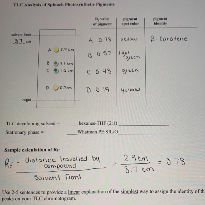 Solved TLC Analysis of Spinach Photosynthetic Pigments R, | Chegg.com