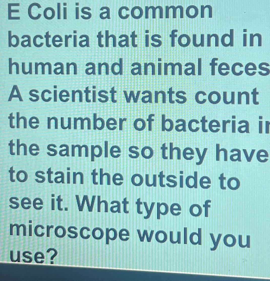 Solved E Coli is a common bacteria that is found in human | Chegg.com