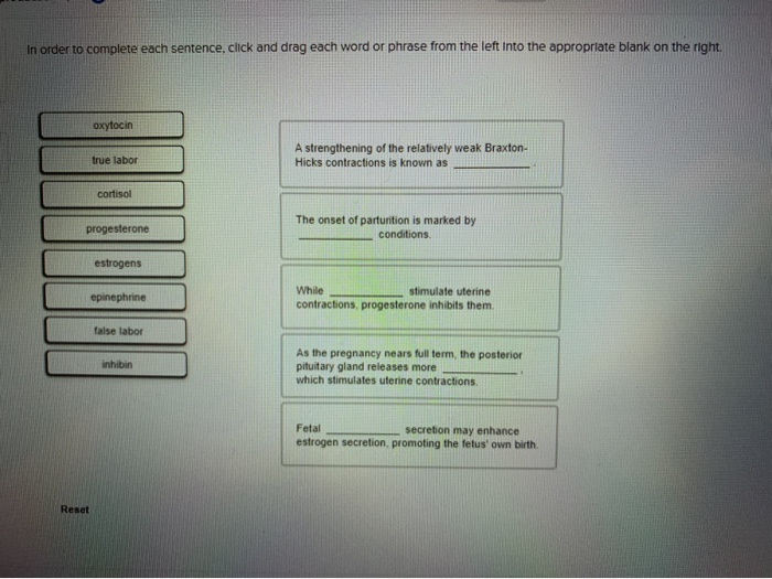 Solved In order to complete each sentence.click and drag | Chegg.com