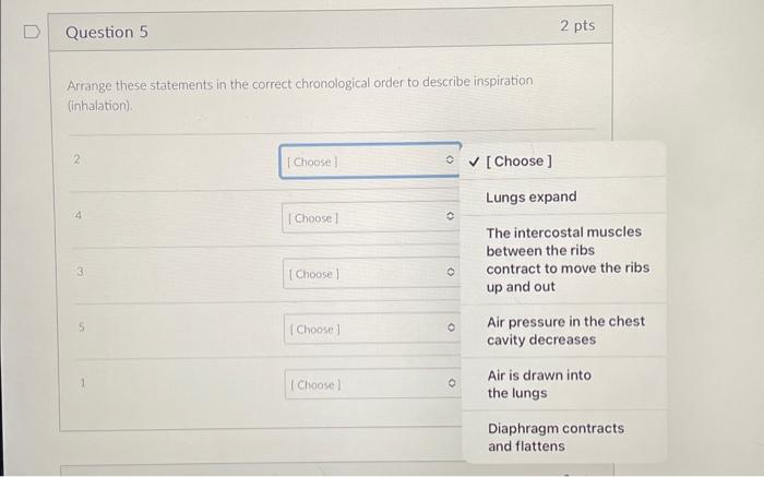 Solved Arrange these statements in the correct chronological | Chegg.com