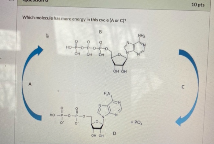 Solved which molecule has more energy in this cycle? ( A or | Chegg.com