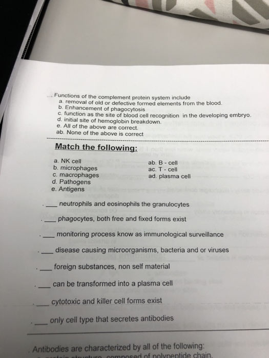 Solved Functions of the complement protein system include a. | Chegg.com