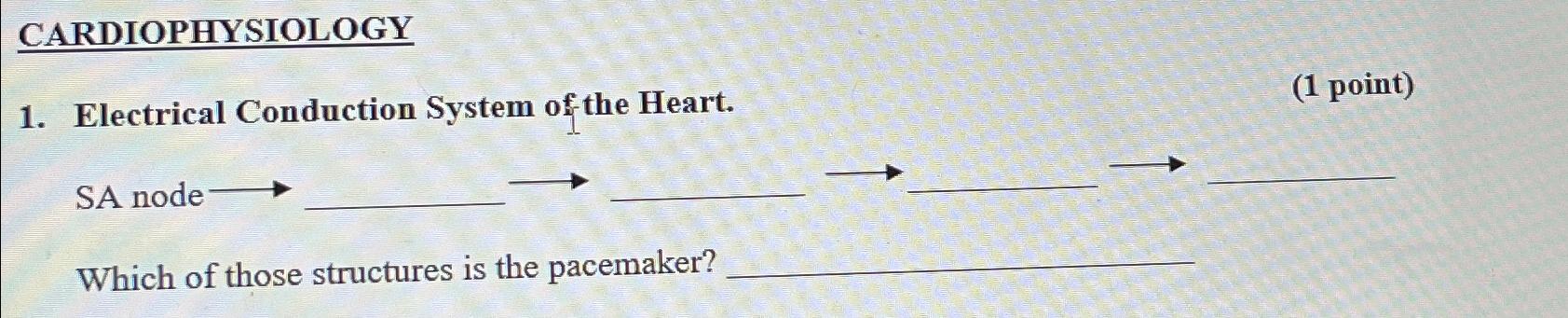 Solved CARDIOPHYSIOLOGYElectrical Conduction System of the | Chegg.com