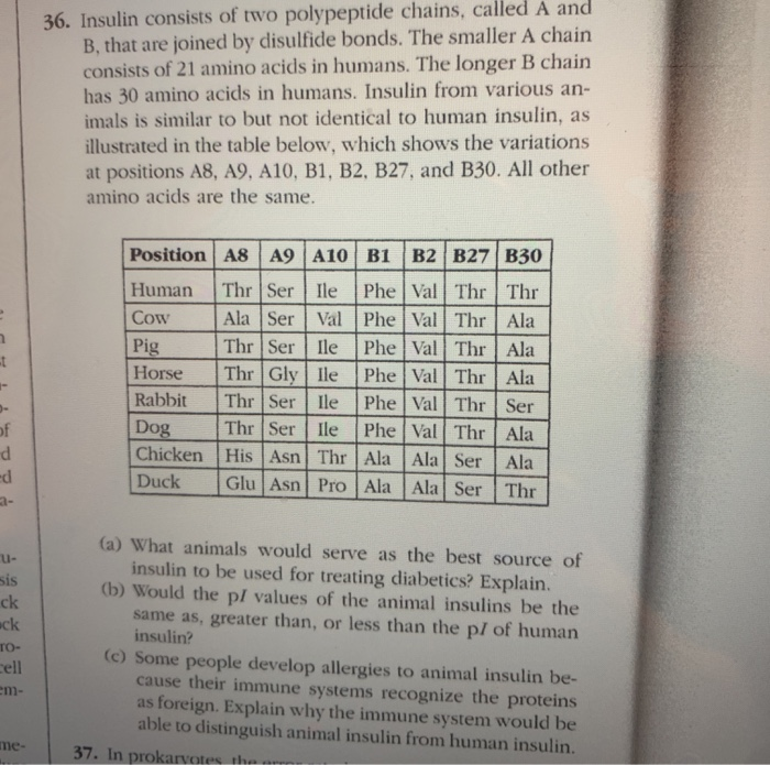 Solved 36. Insulin consists of two polypeptide chains, | Chegg.com