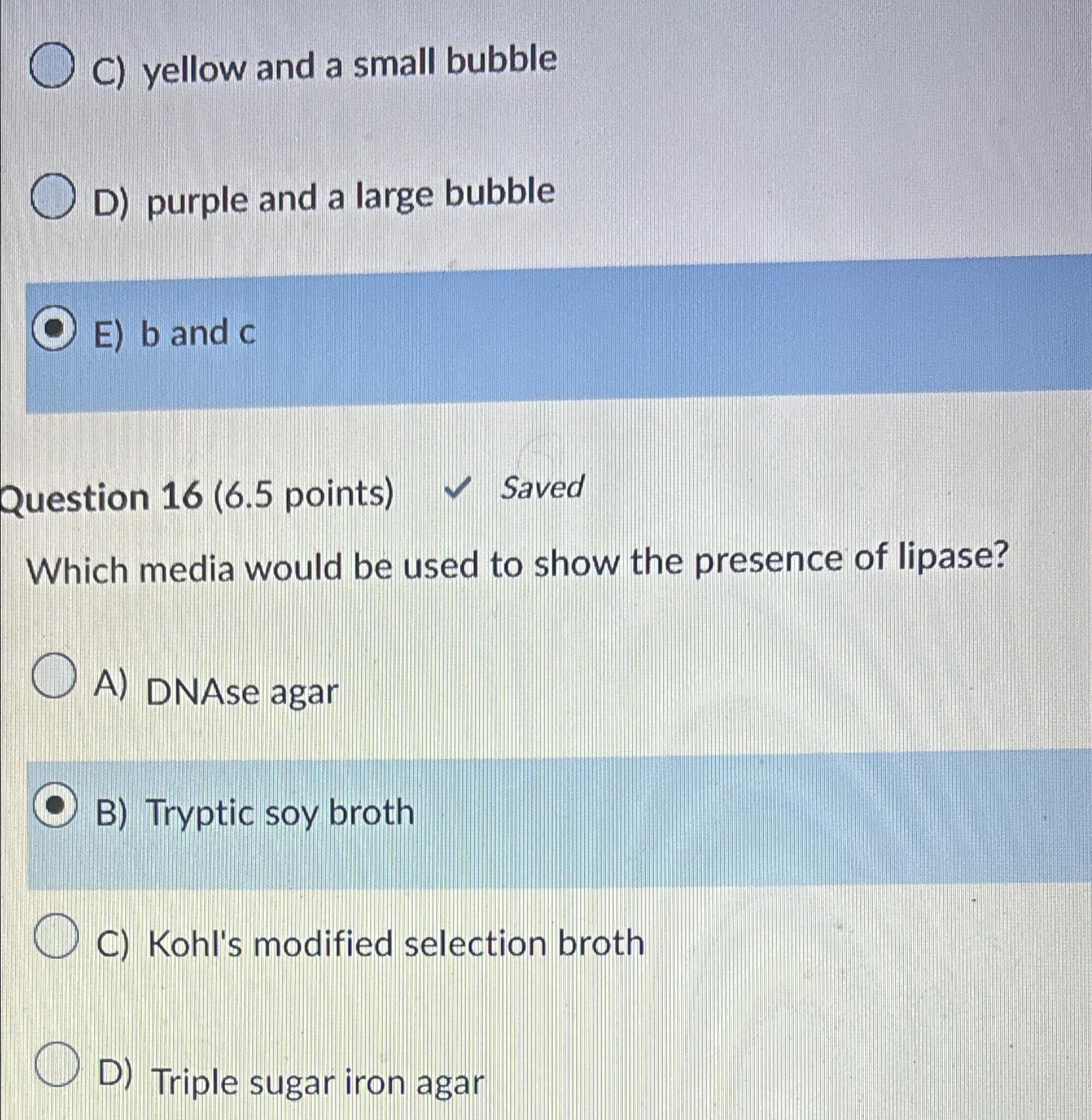 Solved C) ﻿yellow and a small bubbleD) ﻿purple and a large | Chegg.com