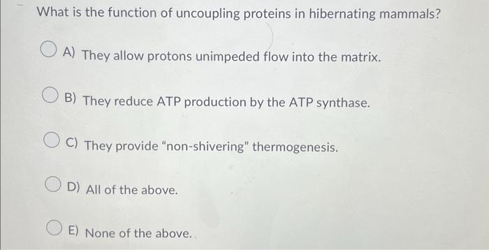 Solved What is the function of uncoupling proteins in | Chegg.com