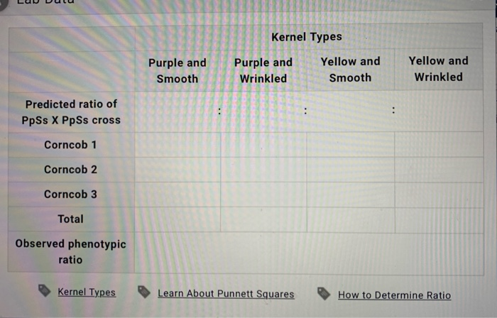 Solved DELIAN GENETICS. DIHYBRID PLANT CROSS ODUCTION | Chegg.com