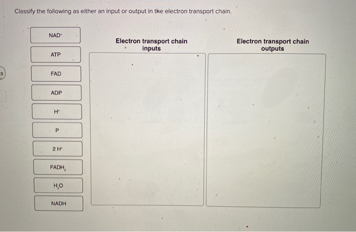 Solved Classify the following as either an input or output | Chegg.com