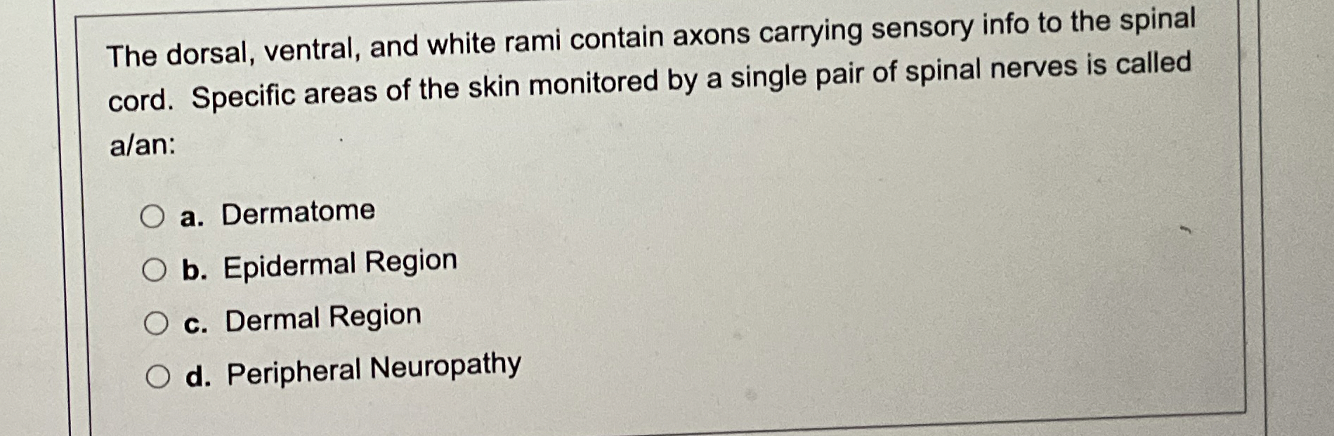 Solved The dorsal, ventral, and white rami contain axons | Chegg.com