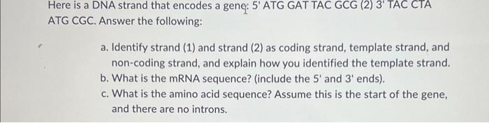 Solved Here is a DNA strand that encodes a gene. 5′ ATG GAT | Chegg.com