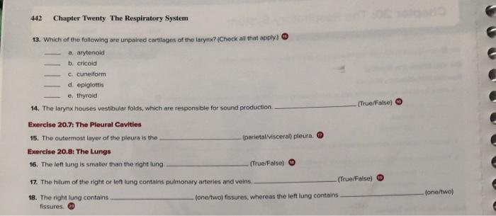 Solved Chapter 20: The Respiratory System Date | Chegg.com