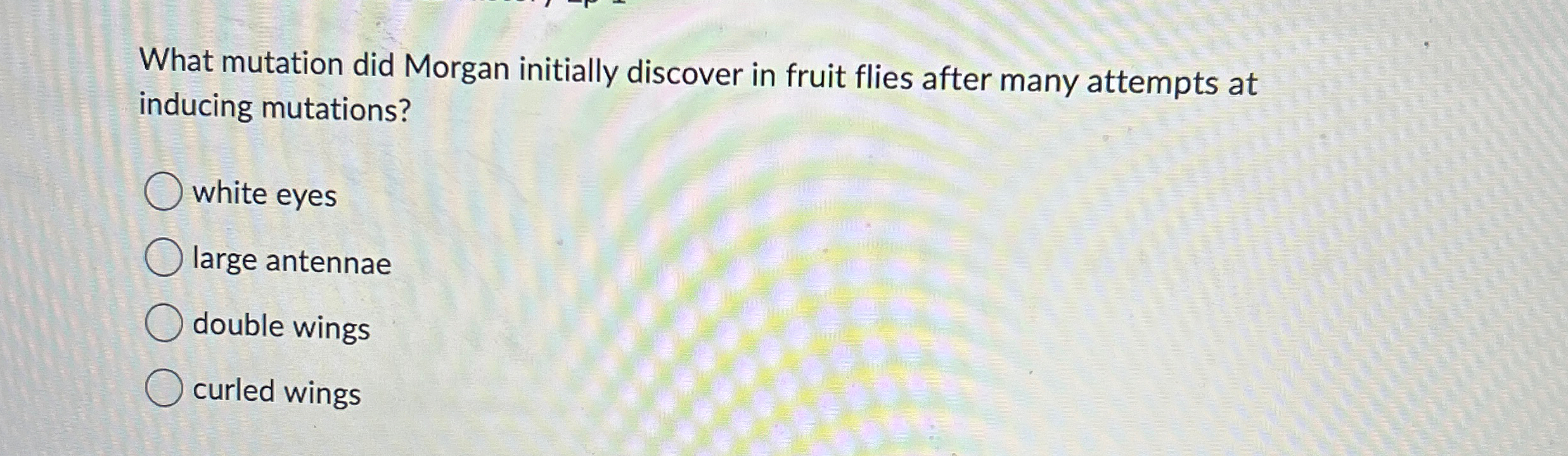 Solved What mutation did Morgan initially discover in fruit | Chegg.com