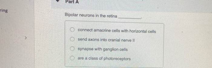 Solved A Drag the labels to arrange the structures of the | Chegg.com