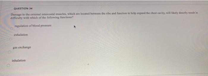 Solved QUESTION 34 Damage to the external intercostal | Chegg.com