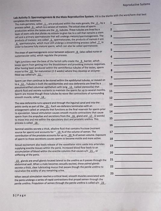 Solved Reproductive Systems Lab Activity S: Spermatogenesis | Chegg.com