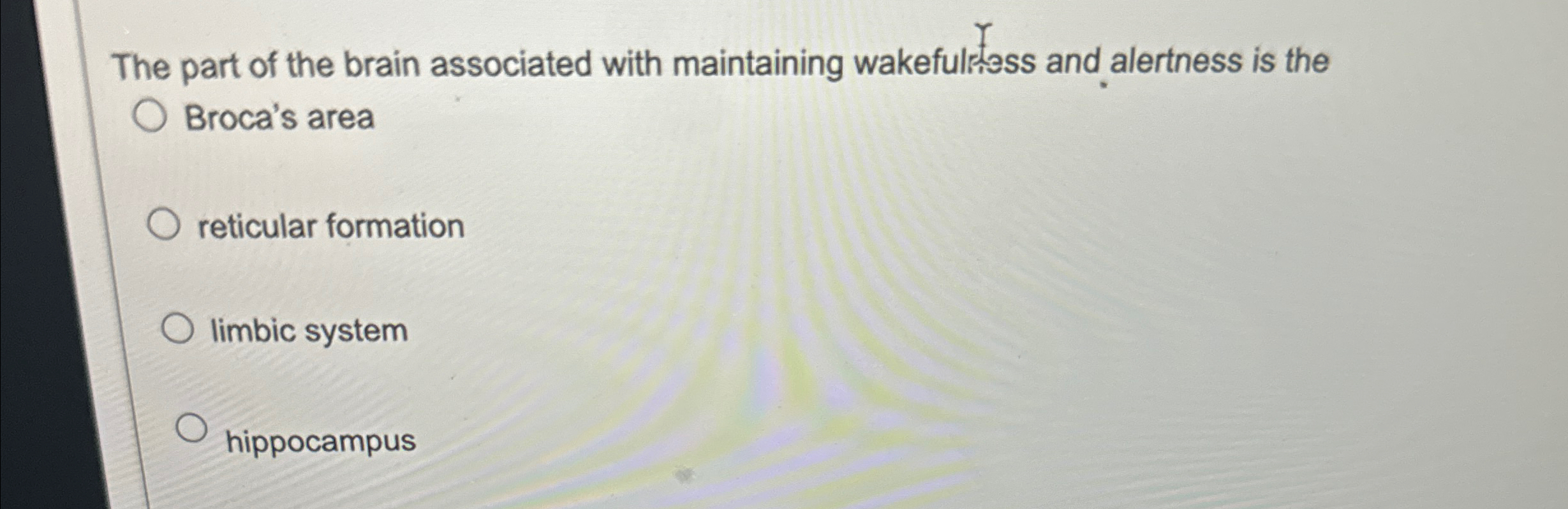 Solved The part of the brain associated with maintaining | Chegg.com