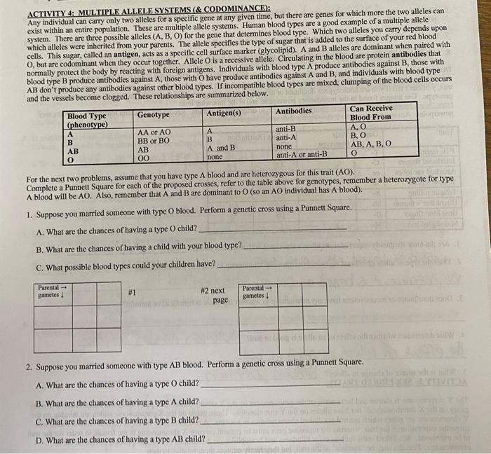 Solved ACTIVITY 4: MULTIPLE ALLELE SYSTEMS & CODOMINANCE): | Chegg.com