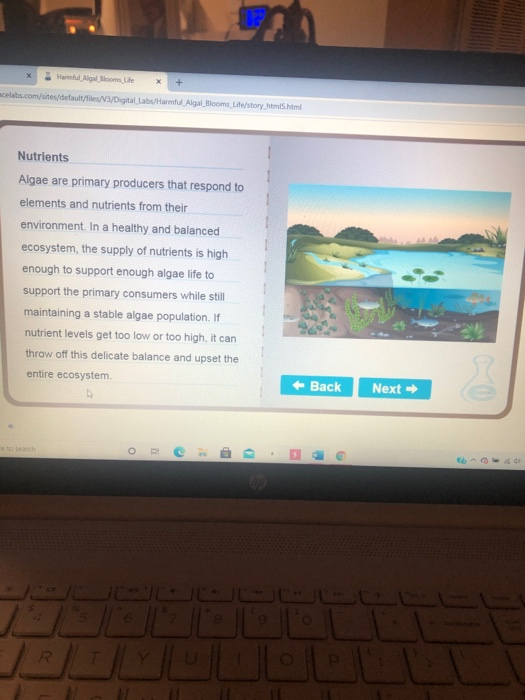 Post-Lab Questions 1. Create graph displaying the | Chegg.com