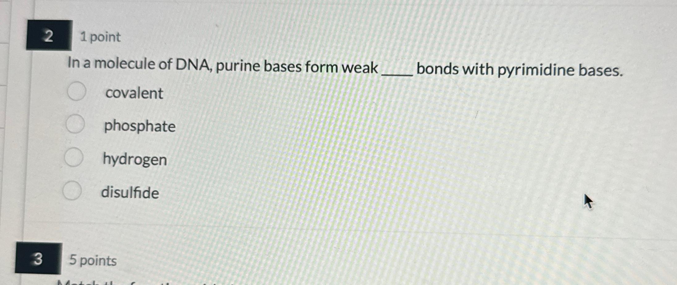 Solved 21 ﻿pointIn a molecule of DNA, purine bases form weak | Chegg.com