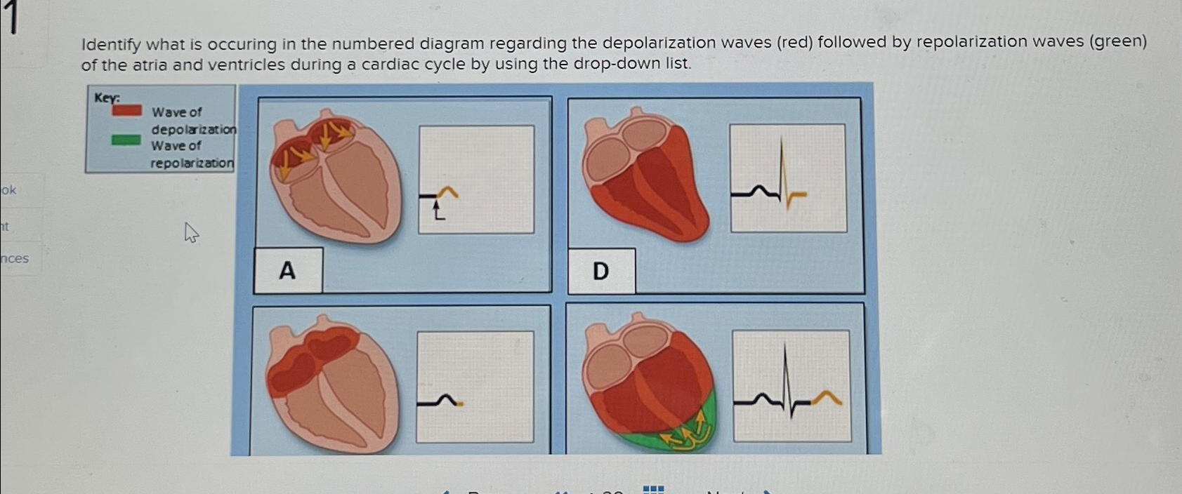 Solved Identify what is occuring in the numbered diagram | Chegg.com