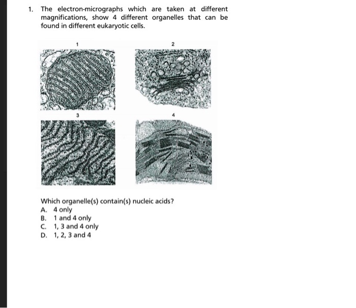 Solved 1. The electron-micrographs which are taken at | Chegg.com