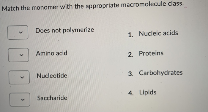 Solved Match the monomer with the appropriate macromolecule | Chegg.com