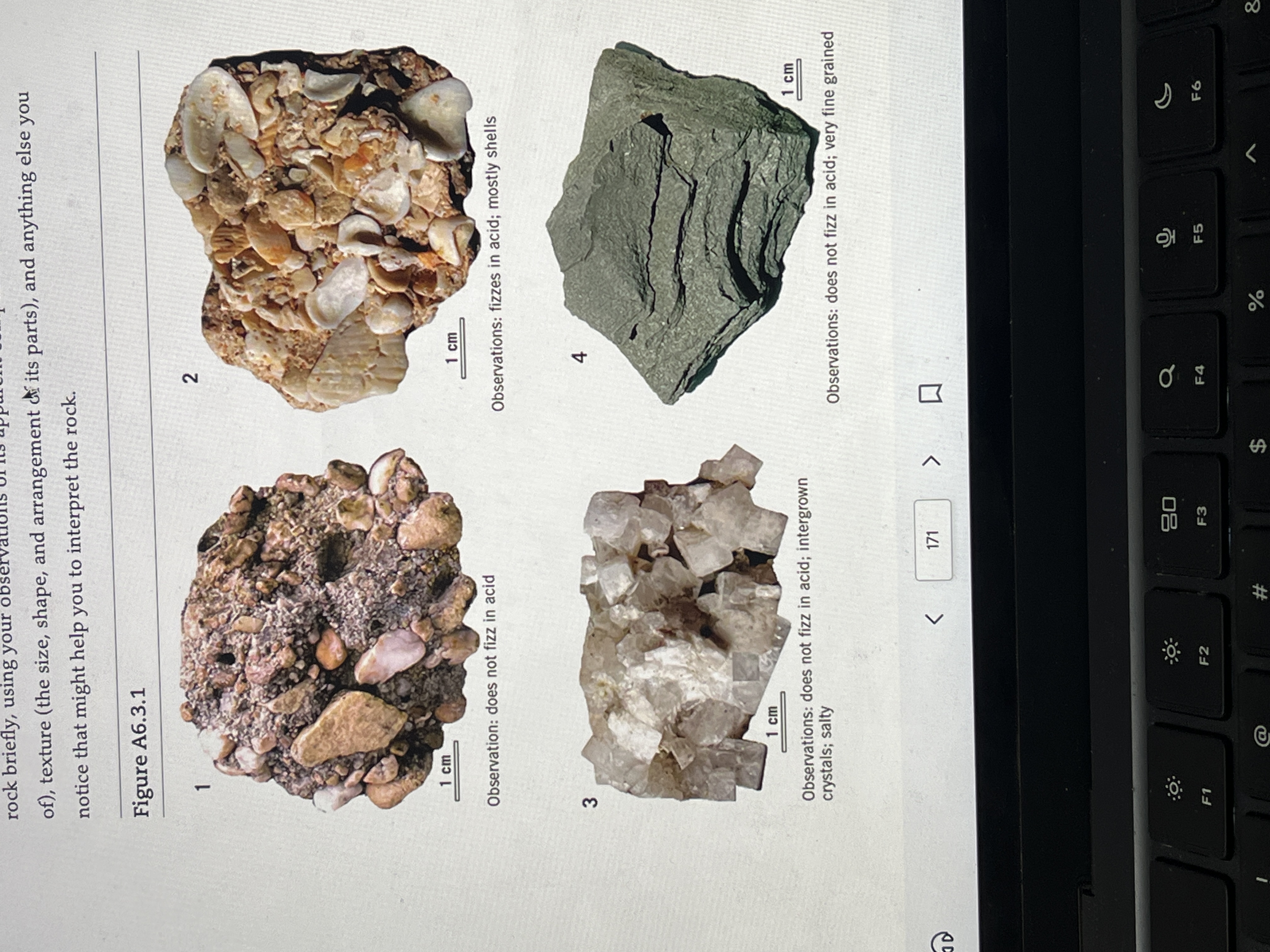 Solved Sedimentary rock inquiry a.6.3.1 ﻿rock briefly, using | Chegg.com