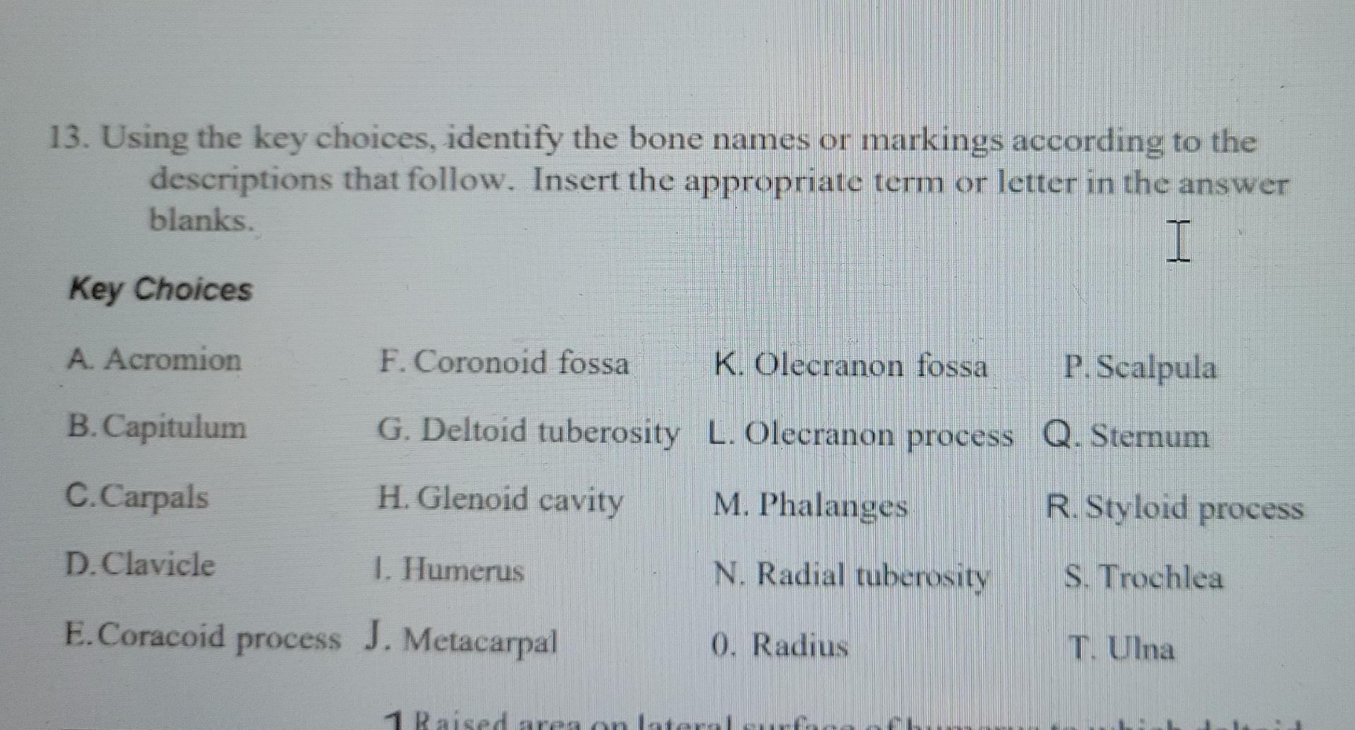 Solved 13. Using the key choices, identify the bone names or | Chegg.com