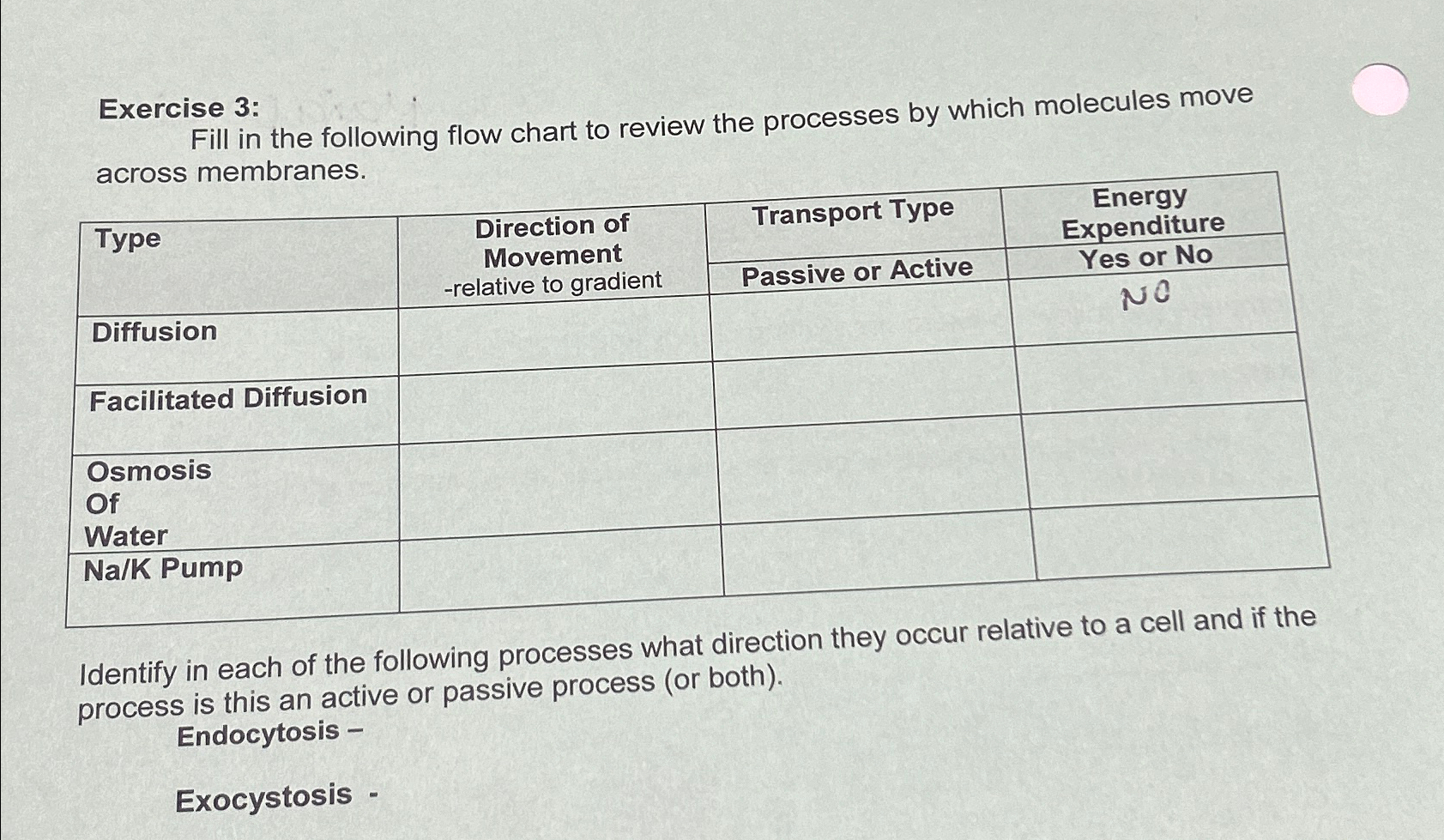 Solved Exercise 3:Fill in the following flow chart to review | Chegg.com