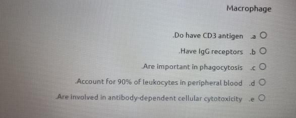Solved MacrophageDo have CD3 ﻿antigen a Have lg | Chegg.com