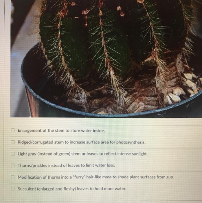 Solved Next to Sequoia Hall are the Sac State greenhouses. | Chegg.com