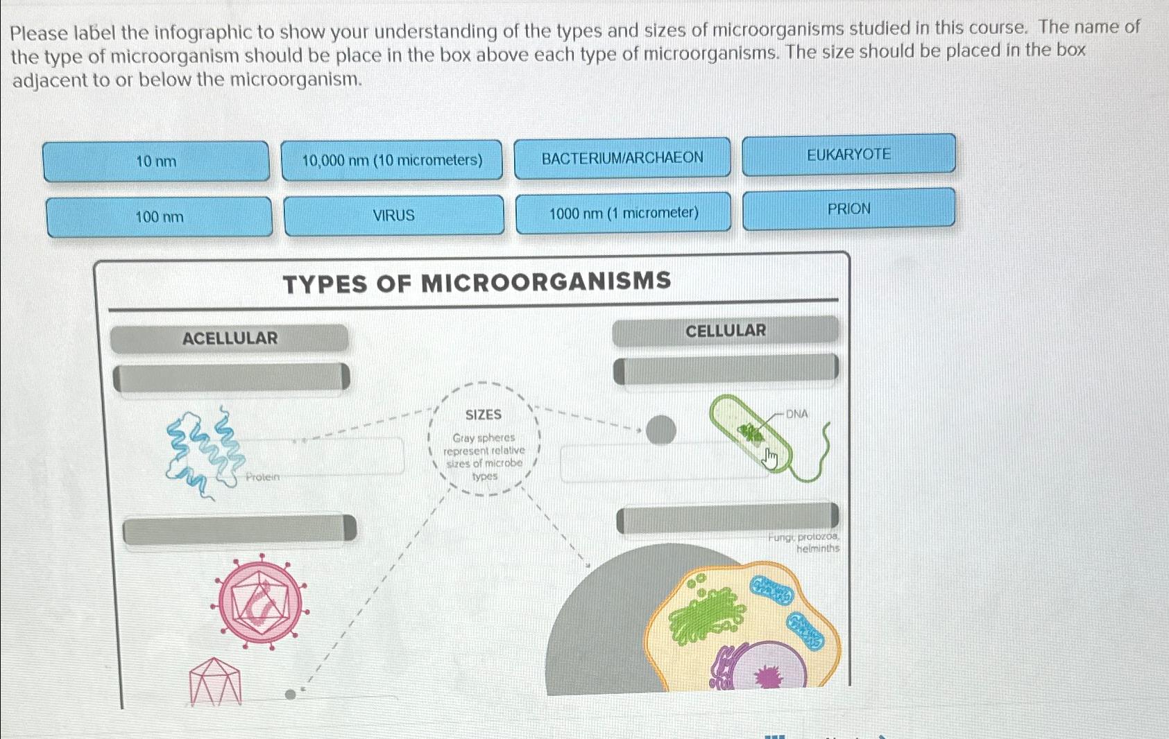 Solved Please label the infographic to show your | Chegg.com