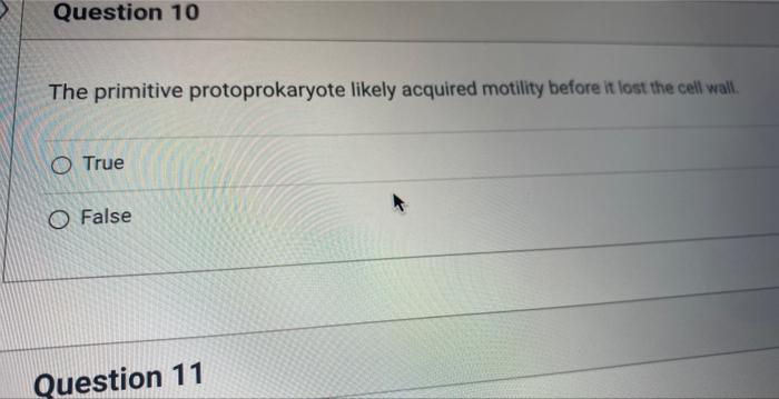 Solved The primitive protoprokaryote likely acquired | Chegg.com