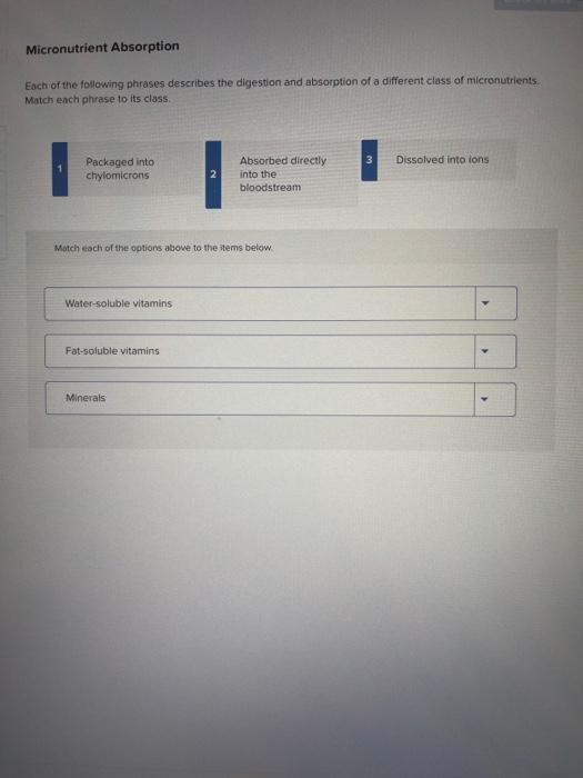 Solved Micronutrient Absorption Each of the following | Chegg.com