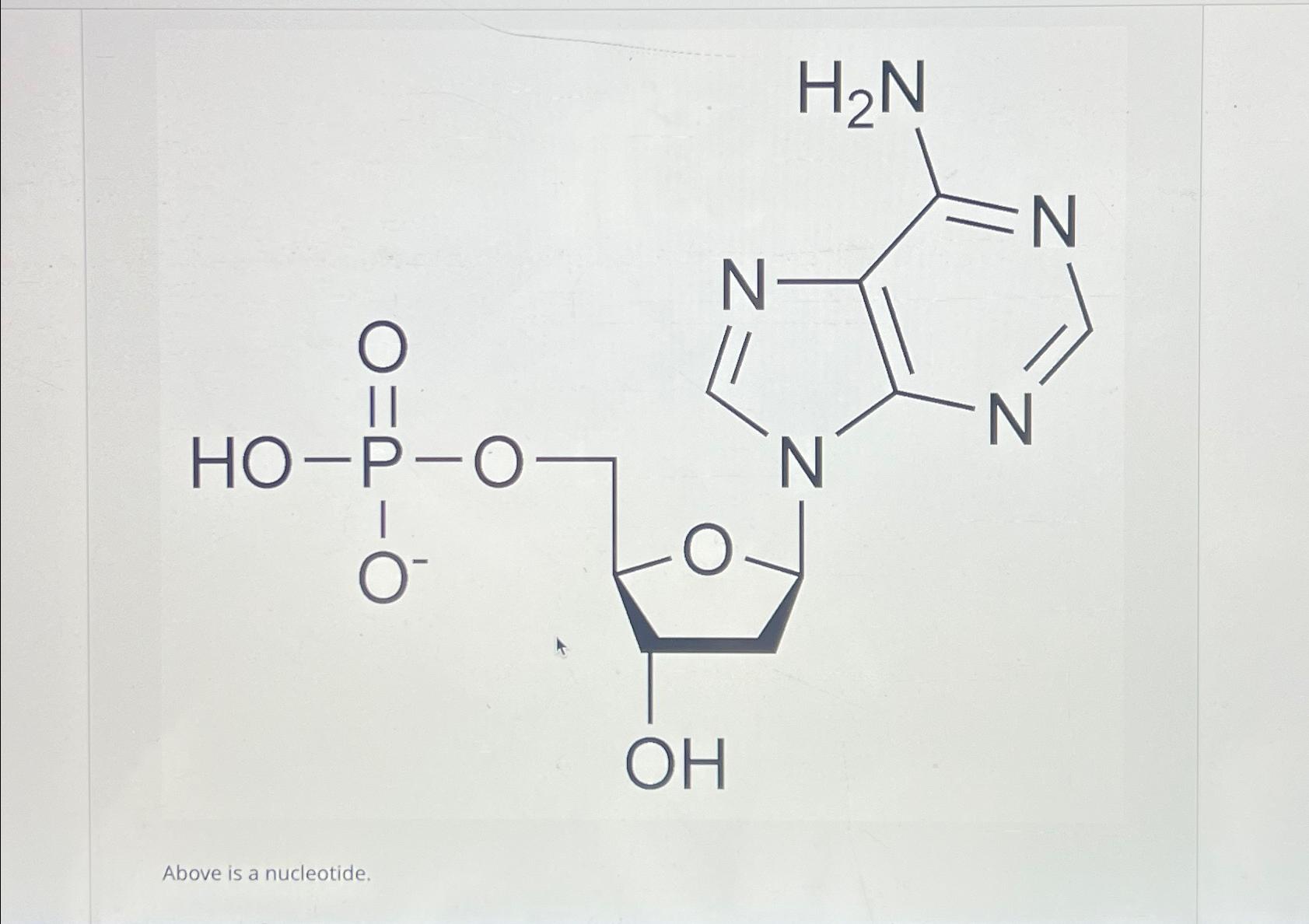 Solved Is this nucleotide from : ﻿DNAA LipidA carbohydrate | Chegg.com