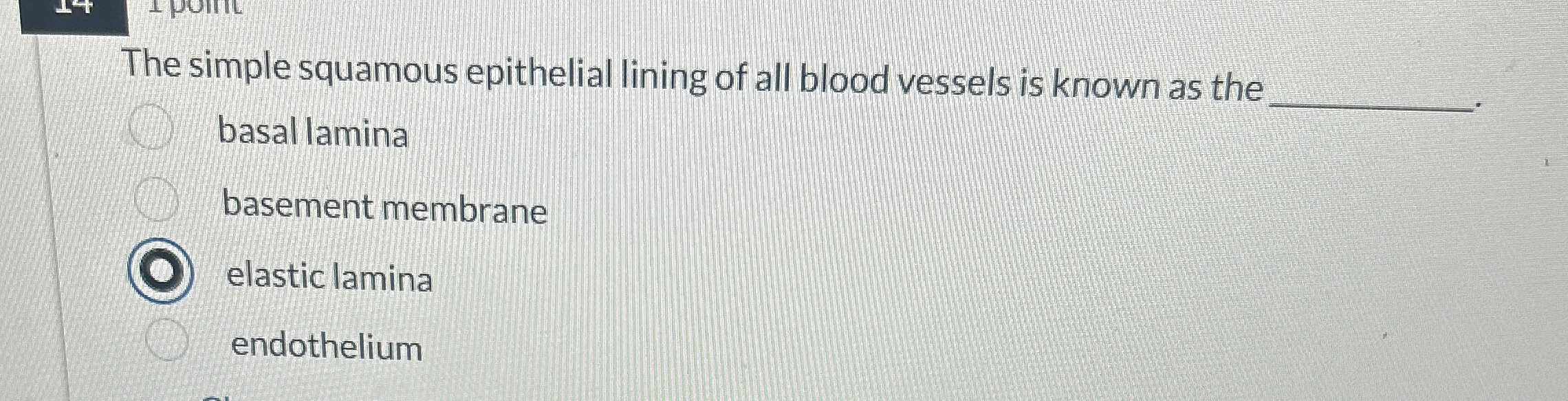 Solved The simple squamous epithelial lining of all blood | Chegg.com