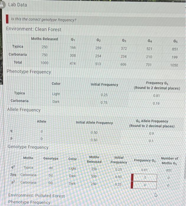 Solved ALab Data Is this the correct genotype frequency? | Chegg.com