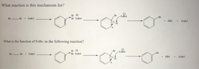 Solved What reaction is this mechanism for? Br @e Br Febe4 | Chegg.com