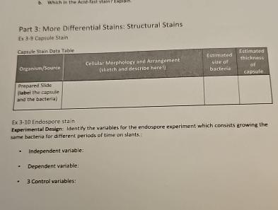 Solved Part 3: More Differentiai Stains: Structural | Chegg.com