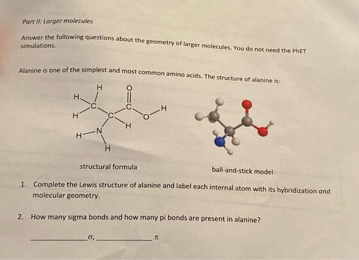 Solved Part II: Larger molecules Answer the following | Chegg.com Solved Part II: Larger molecules Answer the following | Chegg.com