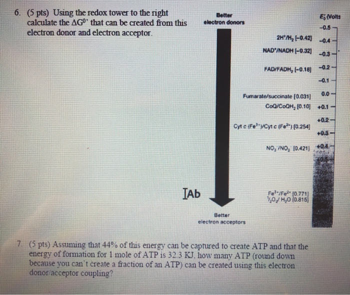 Solved 6. (5 pts) Using the redox tower to the right | Chegg.com