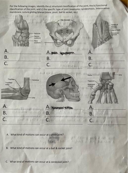 Solved For the following images, identify the a) structural | Chegg.com