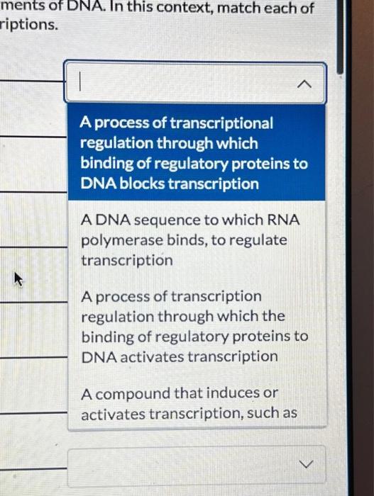 Solved Transcriptional regulation of operon gene expression | Chegg.com