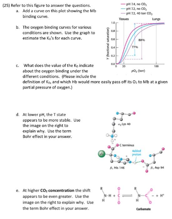 Solved b. The oxygen binding curves for various conditions | Chegg.com