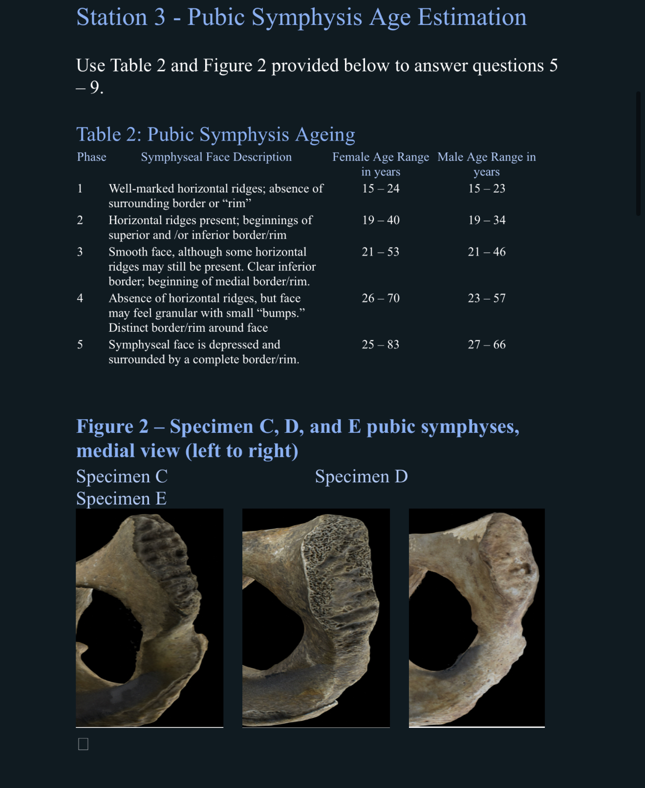 Solved Station 3 - ﻿Pubic Symphysis Age EstimationUse Table | Chegg.com