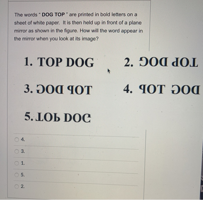 Solved The words “DOG TOP " are printed in bold letters on a | Chegg.com