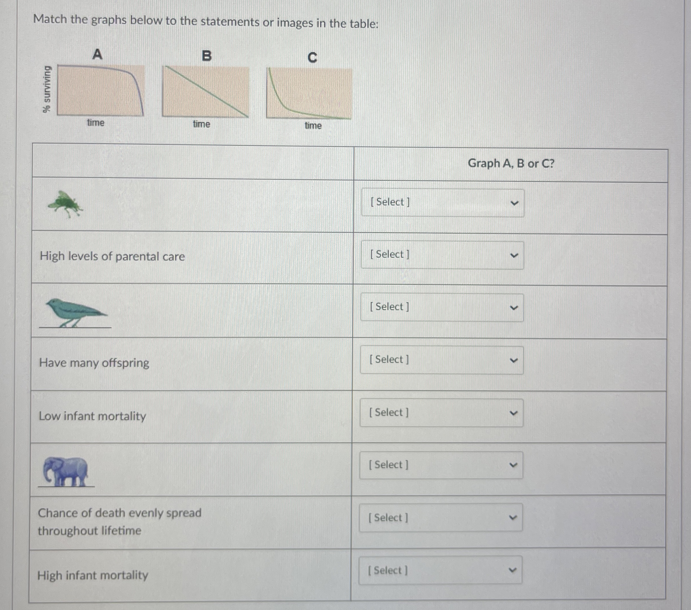 Solved Match the graphs below to the statements or images in | Chegg.com